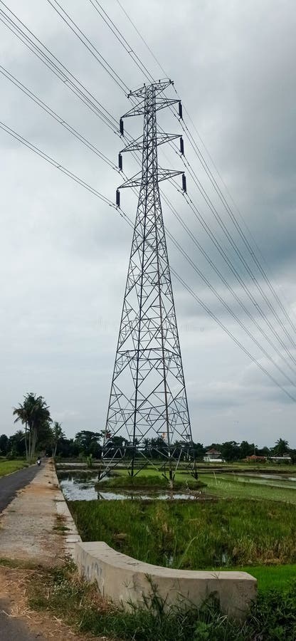 Electricity Tower Standing between the Roadside and Rice Fields, the ...