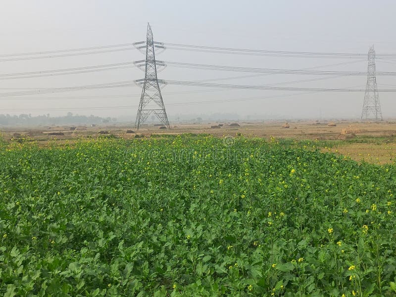 Electricity Pylon on Rural Indian Agricultural Fields with Blue ...
