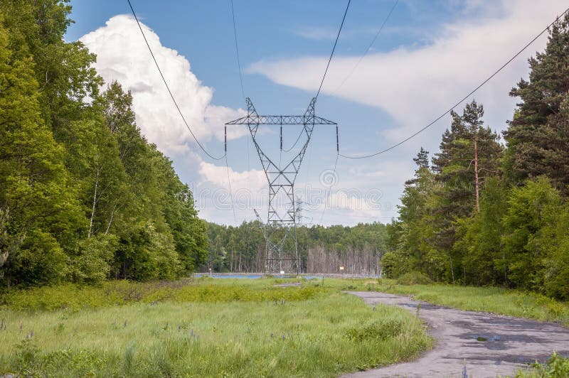 Electricity Transmission Pylon in a Forest Stock Photo - Image of grass ...