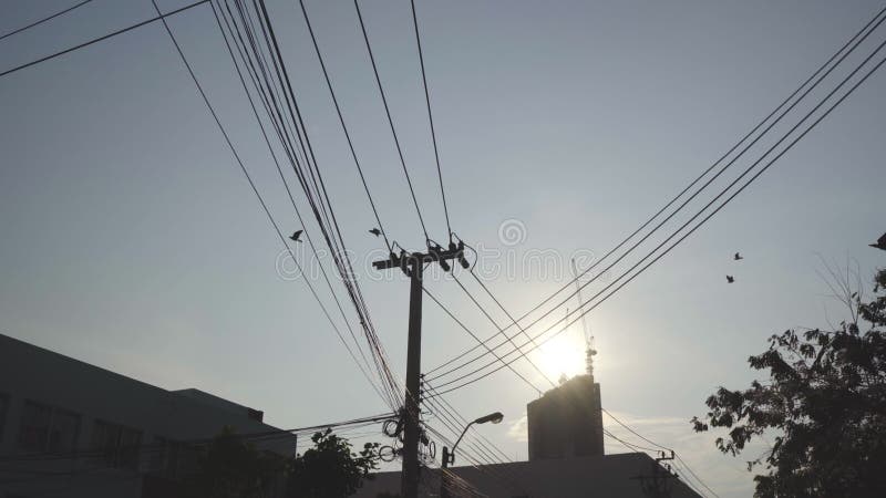 Electricity Wire on Blue Sky with Bird Flying Stock Footage - Video of ...