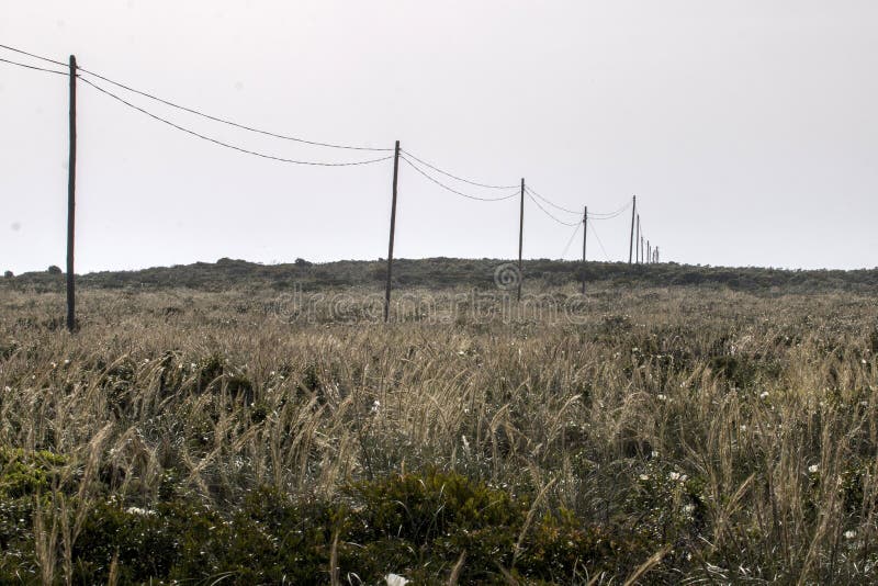 Electricity Wire on a Field Stock Image - Image of coastal, algarve ...