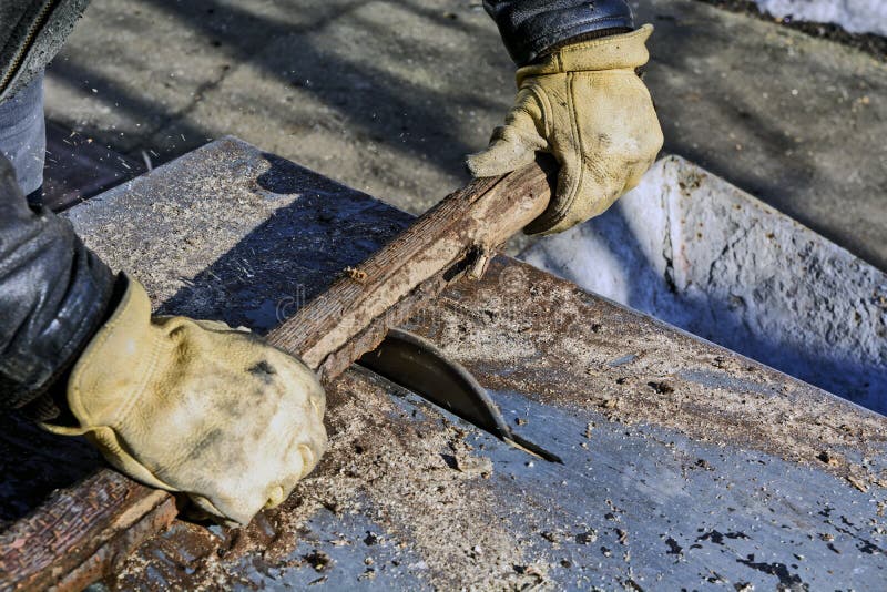 Electrics Circular Saw Cutting a Twig Stock Image - Image of winter ...