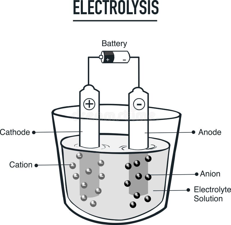 Electrolysis Process Useful for Education in Schools Vector ...