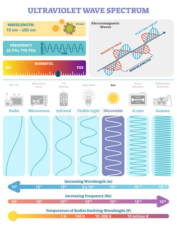 Electromagnetic Waves: Ultraviolet Wave Spectrum. Vector Illustration ...