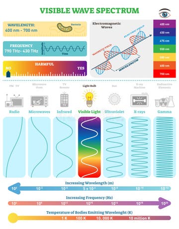 Electromagnetic Waves: Visible Wave Spectrum. Vector Illustration ...