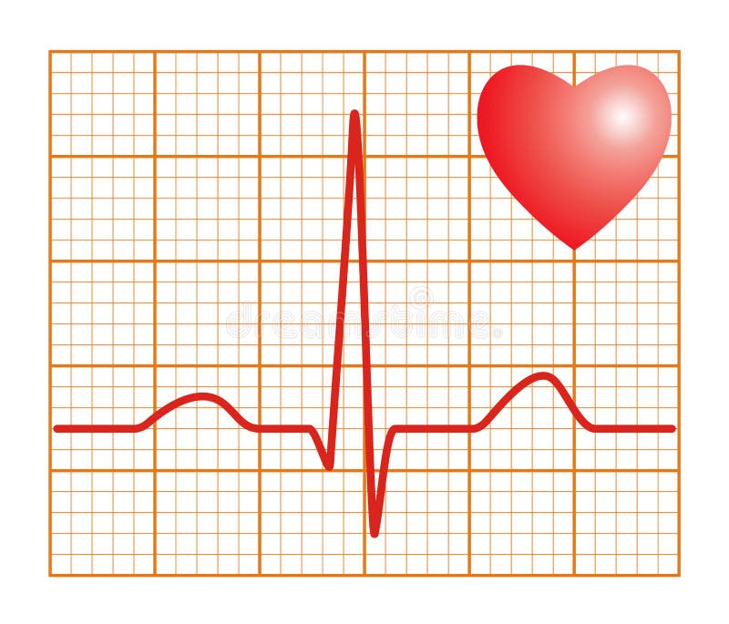 Heartbeat Normal ECG graph stock illustration. Illustration of muscular ...