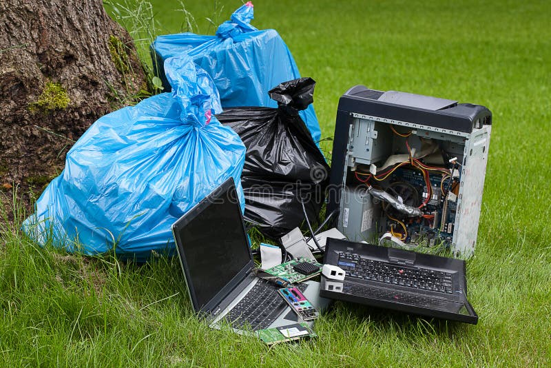 Electronics in a forest stock image. Image of garden - 35739523