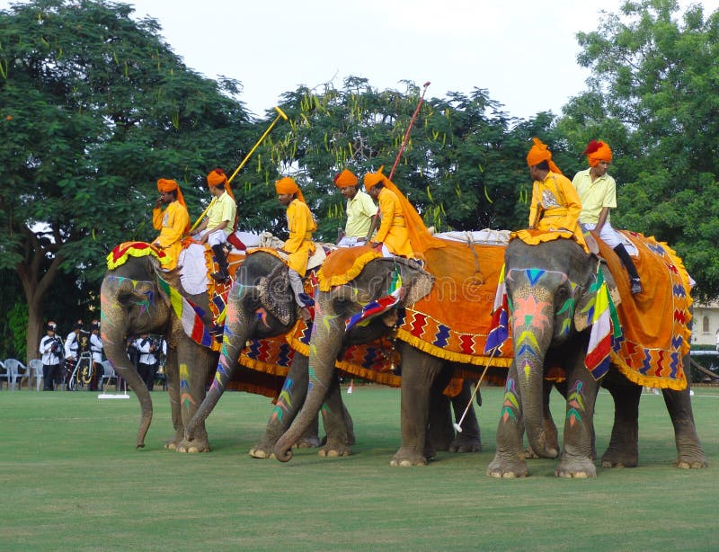 Elefant-Festival, Jaipur, Indien Redaktionelles Stockfotografie - Bild ...