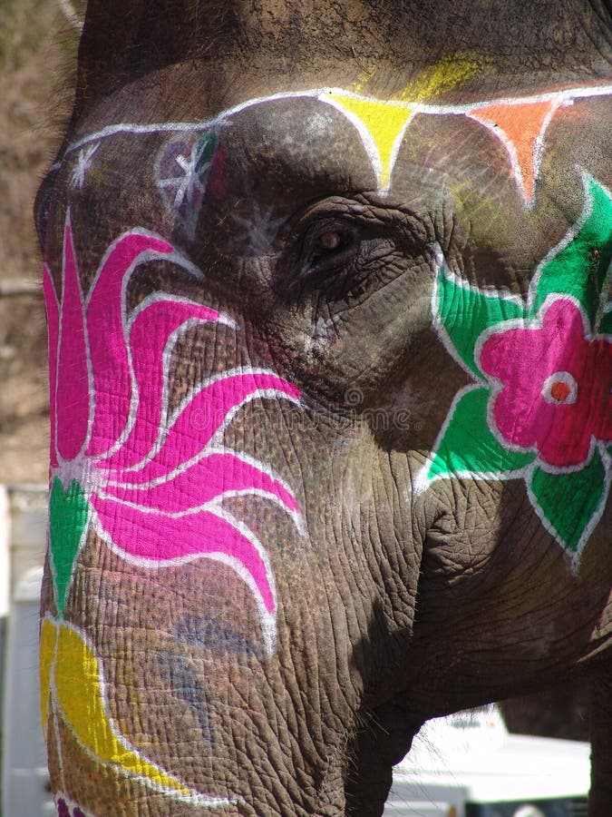 Elefant, Jaipur, Indien stockfoto. Bild von festival - 19809940