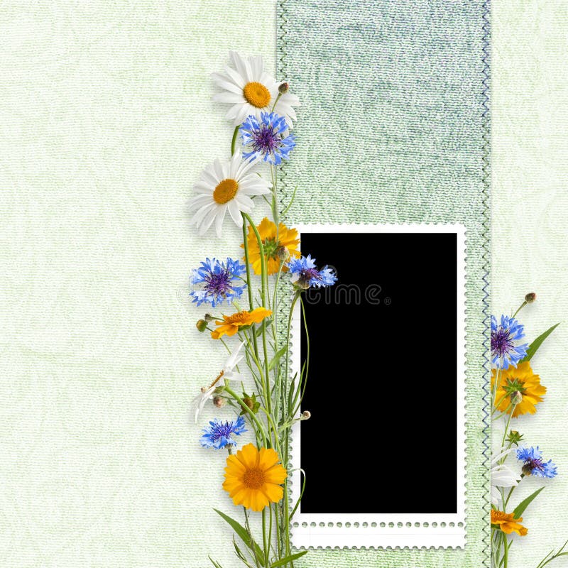 Elegance Frame with Summer Flowers Stock Photo - Image of element ...