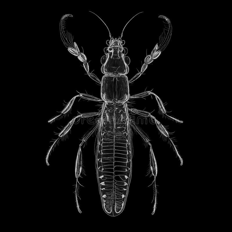 Elegance of life dots stock illustration. Illustration of nature ...