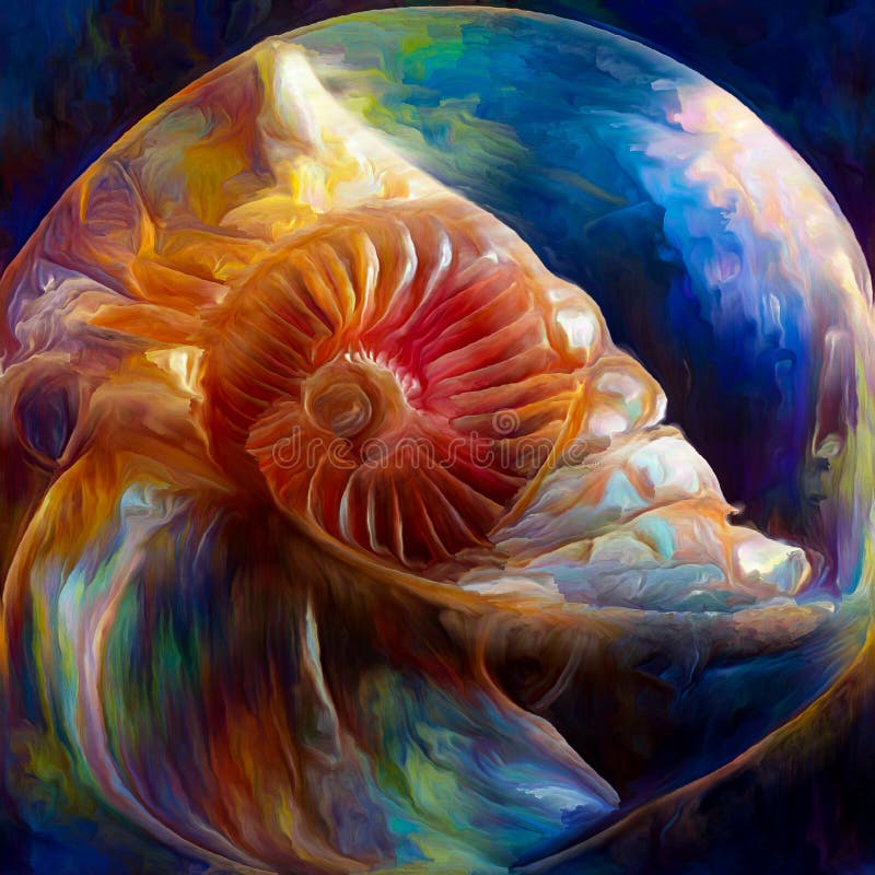 Elegance of Nautilus stock illustration. Illustration of transition ...