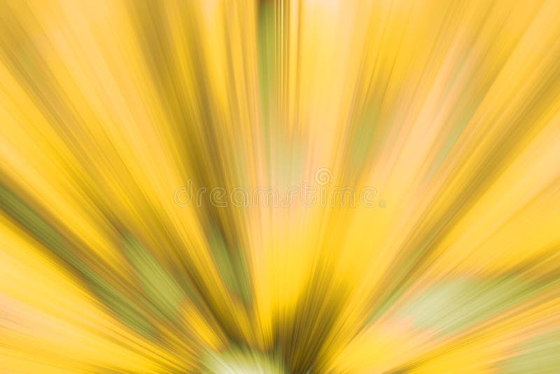 Elegant Abstract Autumn Background with Smooth Lines Stock Illustration ...