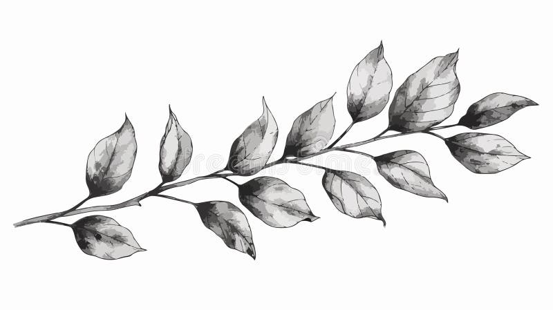 Elegant Abstract Stem with Leaves Doodle Decorative Element Stock ...