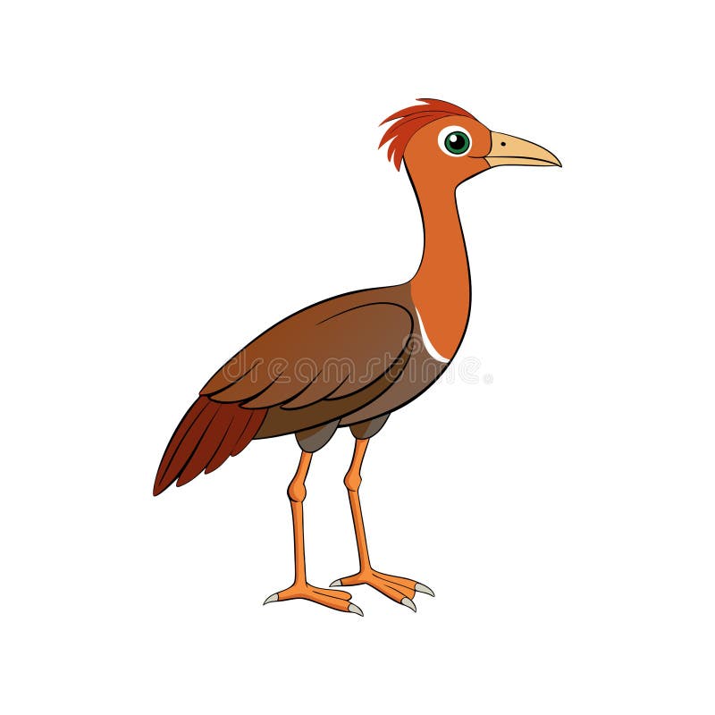 Elegant African Rail Bird among Tall Grass Stock Photo - Illustration ...