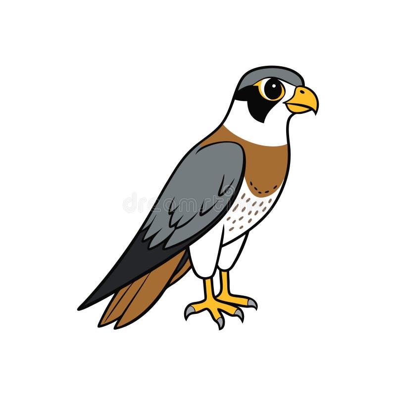 Elegant Amur Falcon Resting on Perch Stock Image - Illustration of ...