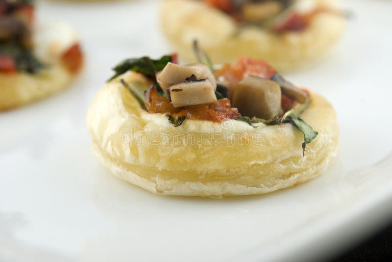 Elegant appetizer stock photo. Image of tasty, food, dine - 12069488