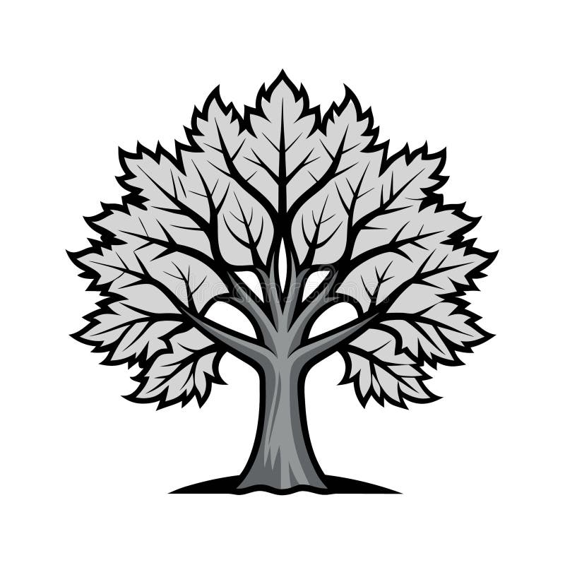 Elegant Silver Maple Tree Artwork Stock Illustration - Illustration of ...
