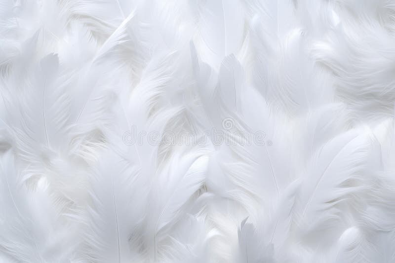 Soft White Down Feather Texture Background Stock Photo - Image of ...