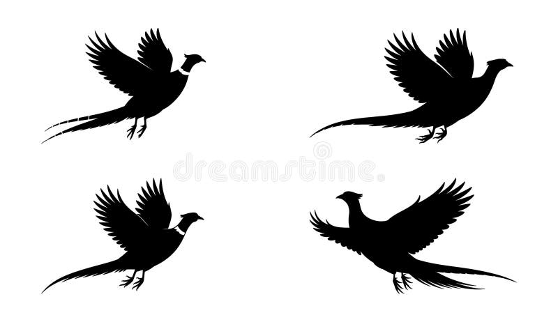 Dynamic Black White Outline Phoenix Wings Stock Photos - Free & Royalty ...