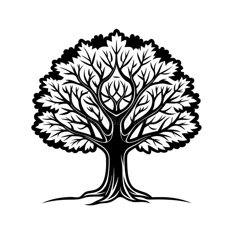 Elegant Black Walnut Tree Illustration with Strong Outline Stock ...