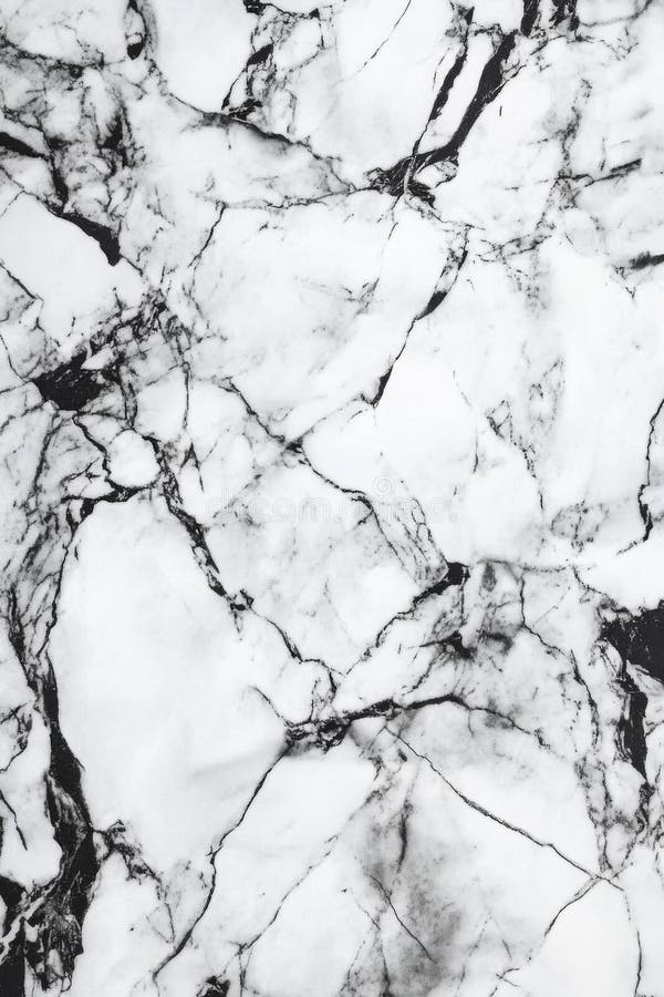 Elegant Black and White Marble Texture with Natural Veining Patterns ...