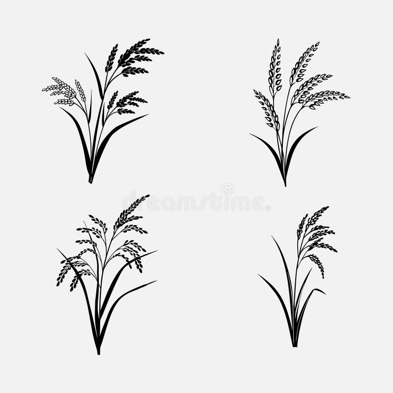 Plants Illustrator Stock Illustrations – 3,920 Plants Illustrator Stock ...