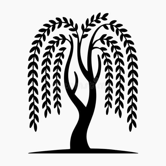 Elegant Black and White Silhouette of a Weeping Willow Tree Stock ...