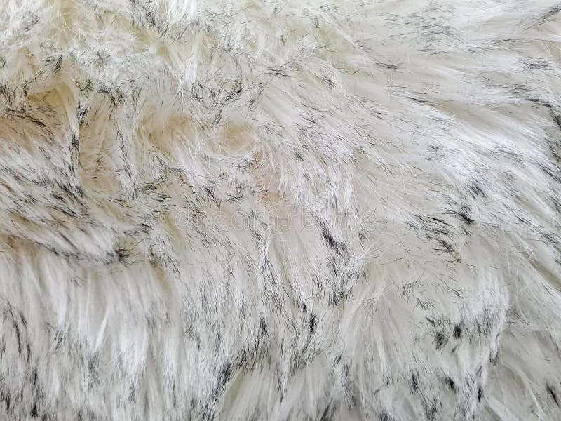 Elegant Black and White Wolf Wool Background Stock Image - Image of ...