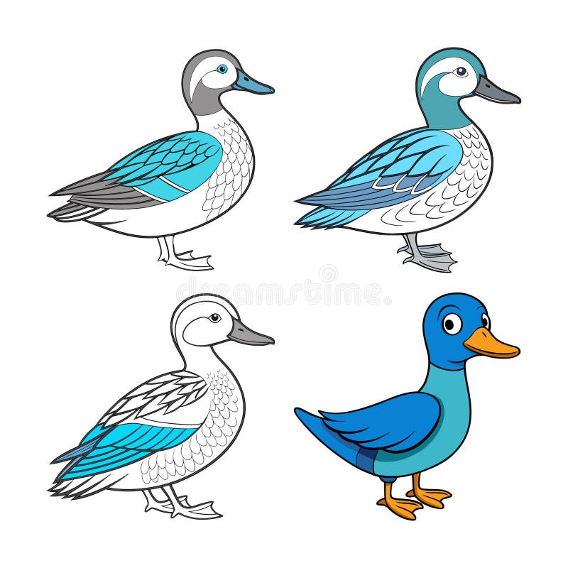 Elegant Blue-Winged Teal Bird Artwork Stock Vector - Illustration of ...