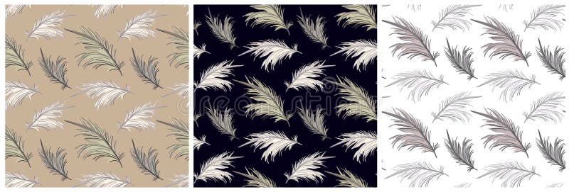 Elegant Boho Feather Patterns in Neutral, Dark, and Light Tones Stock Vector - Illustration of ...