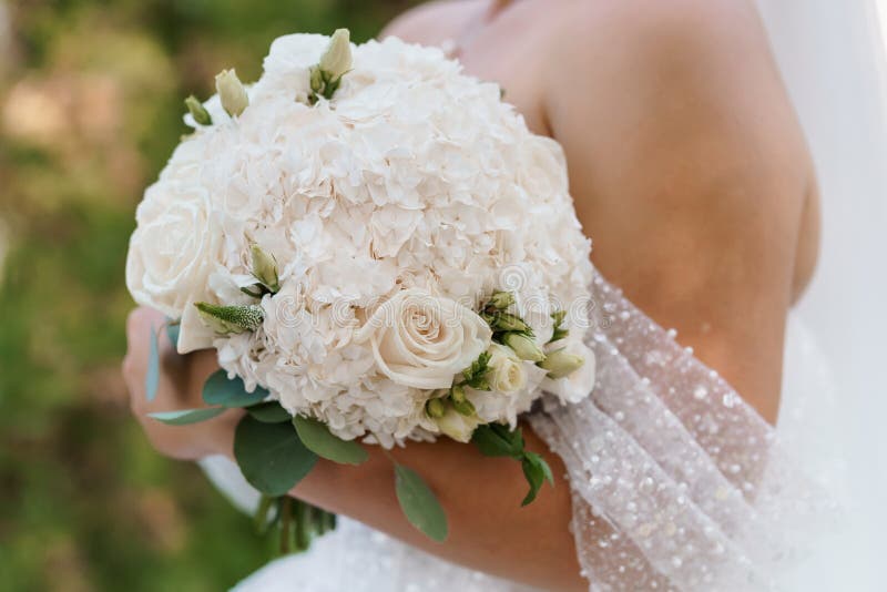 Elegant Bridal Bouquet with Roses and Hydrangeas in a Soft, Romantic ...