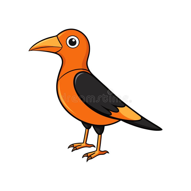 Elegant Bullock S Oriole Bird Illustration Stock Illustration ...