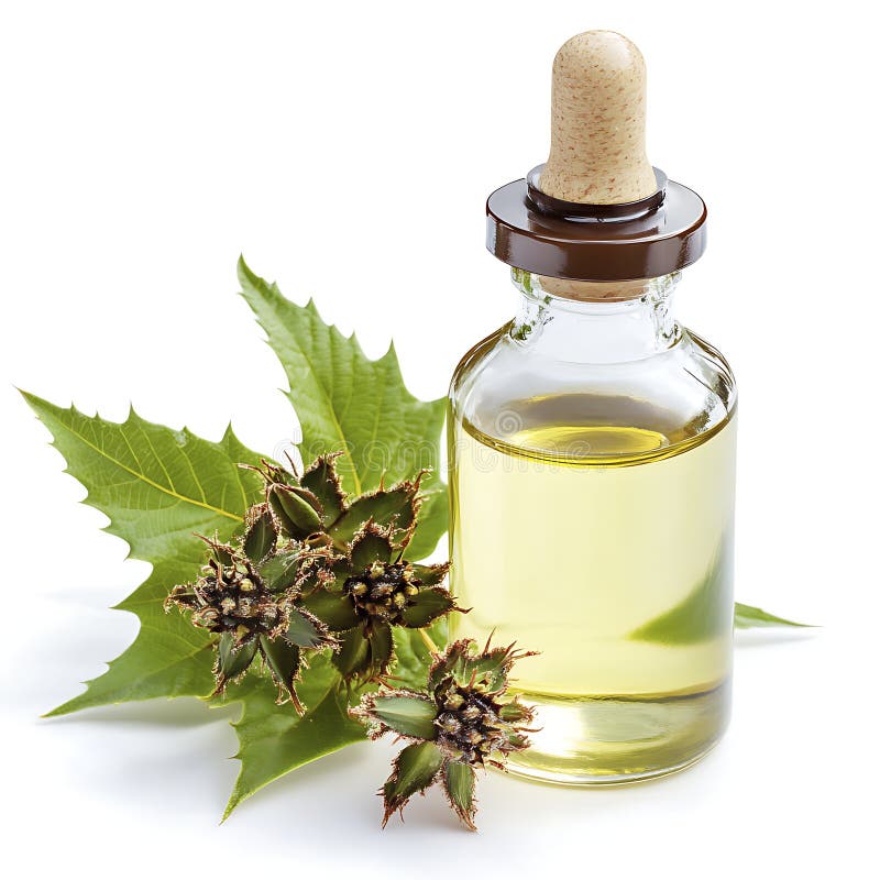 Elegant Castor Oil Bottle with Castor Plant on White Background Stock ...