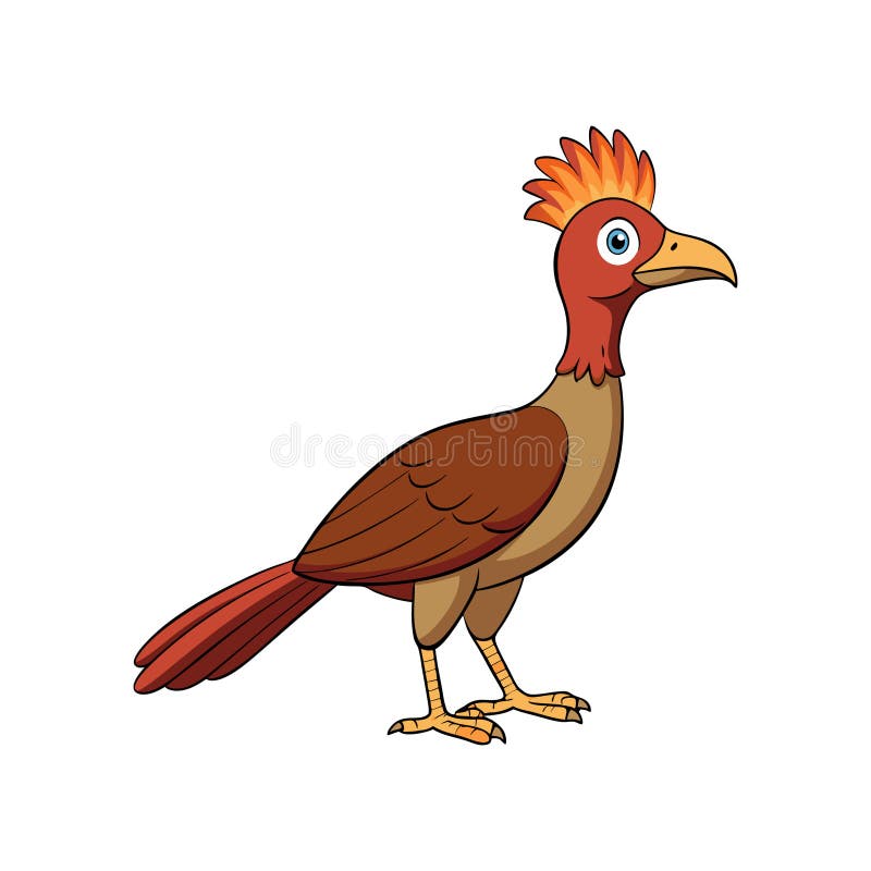 Elegant Chachalaca Illustration Stock Illustration - Illustration of ...