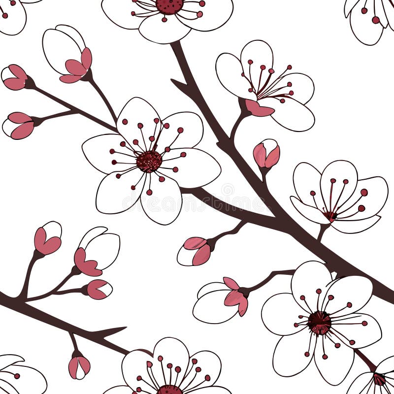 Elegant Cherry Blossom Pattern on Branches with Delicate Pink and White Flowers Stock ...