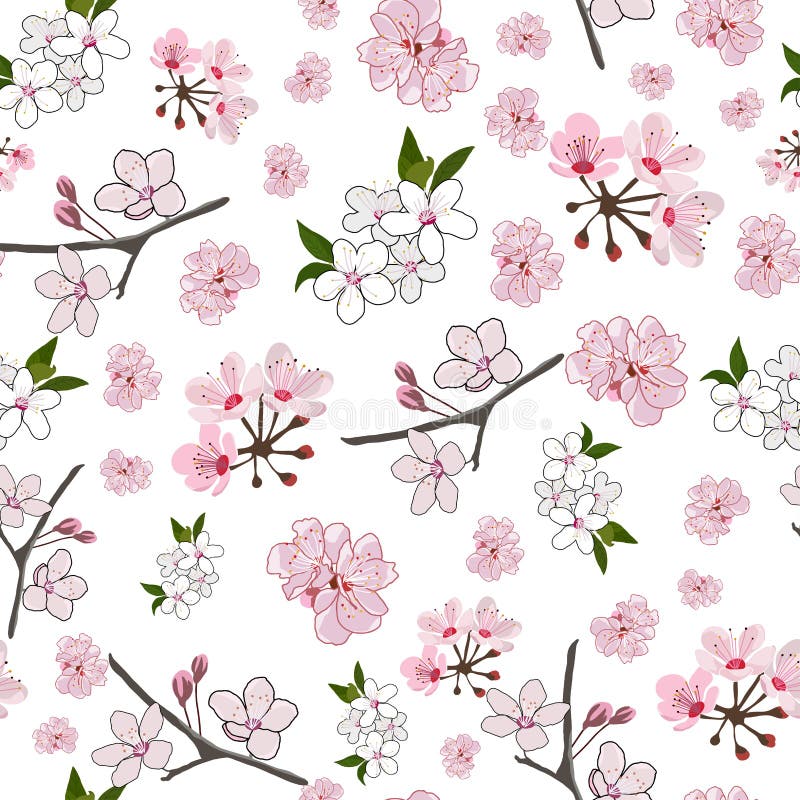 Elegant Cherry Blossom Seamless Pattern Stock Image - Image of summer ...