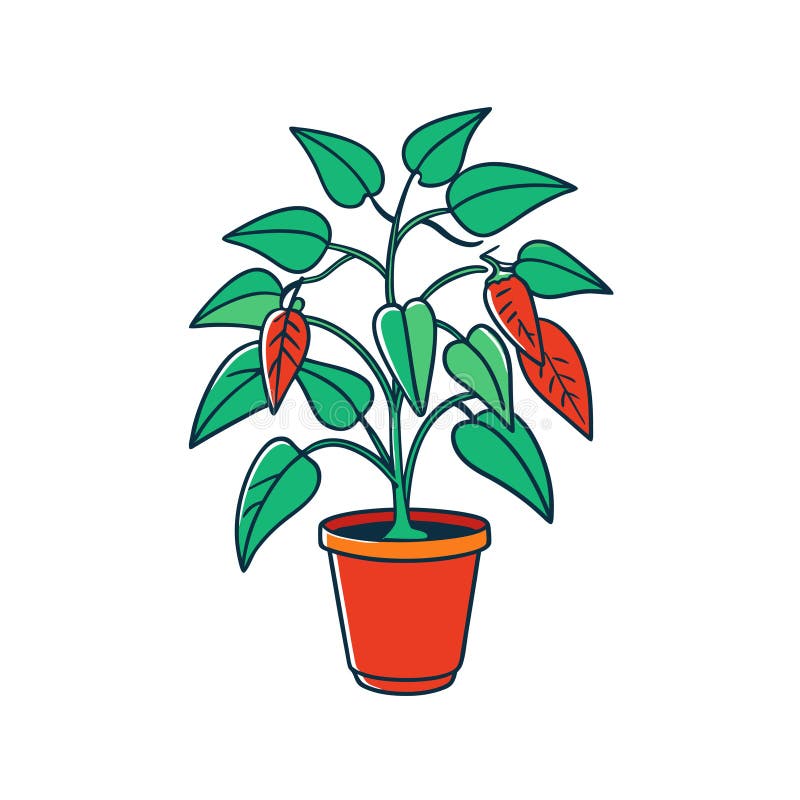Elegant Chilli Plant Graphic Design Stock Illustration - Illustration ...