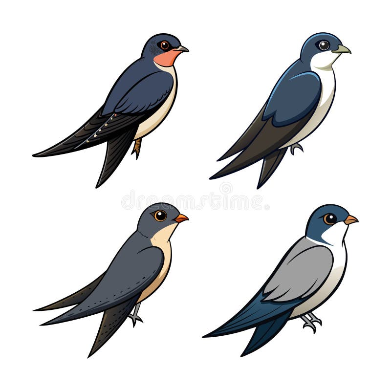 Elegant Chimney Swift Bird Design Stock Vector - Illustration of ...