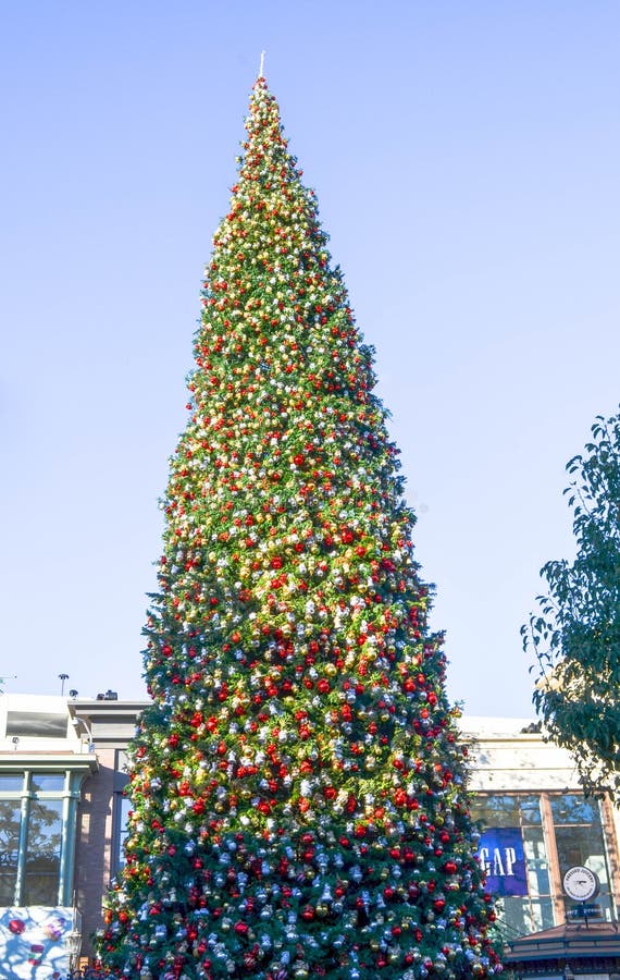Elegant Christmas Tree at the Grove Editorial Photography - Image of ...