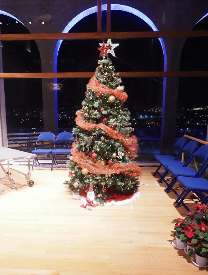 Elegant Christmas Tree Symbol of Christmas Stock Photo - Image of ...