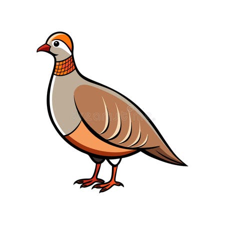 Chukar Stock Illustrations – 93 Chukar Stock Illustrations, Vectors ...