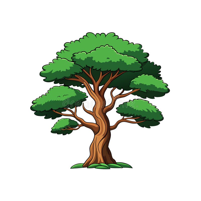 Elegant Common Juniper Tree Graphic with Bold Lines Stock Illustration ...