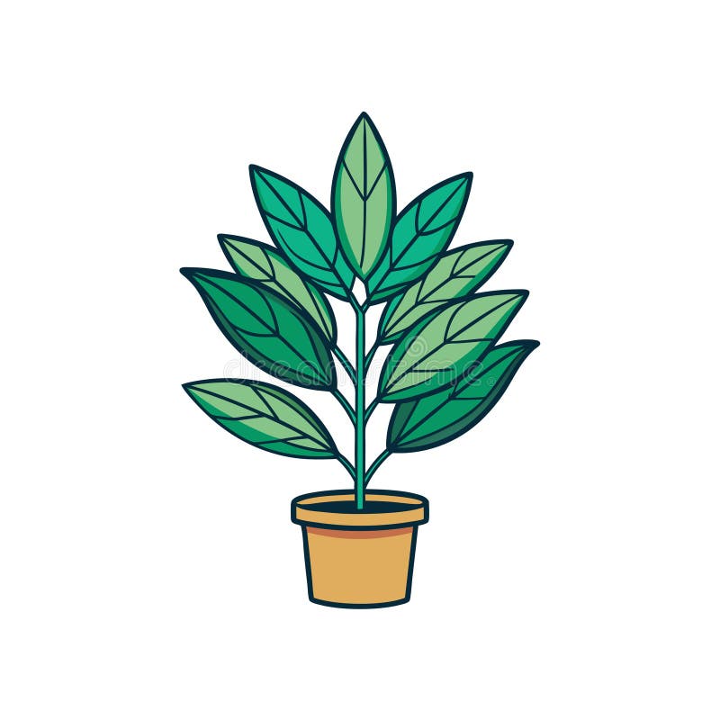 Corchorus Olitorius Houseplant Design Stock Illustrations – 10 ...