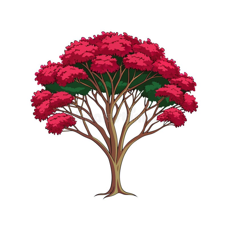 Elegant Crape Myrtle Tree Graphic with Bold Lines Stock Illustration ...