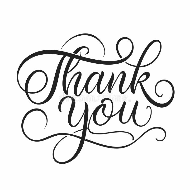 Elegant Cursive Lettering Spells Out the Words Thank You Stock ...