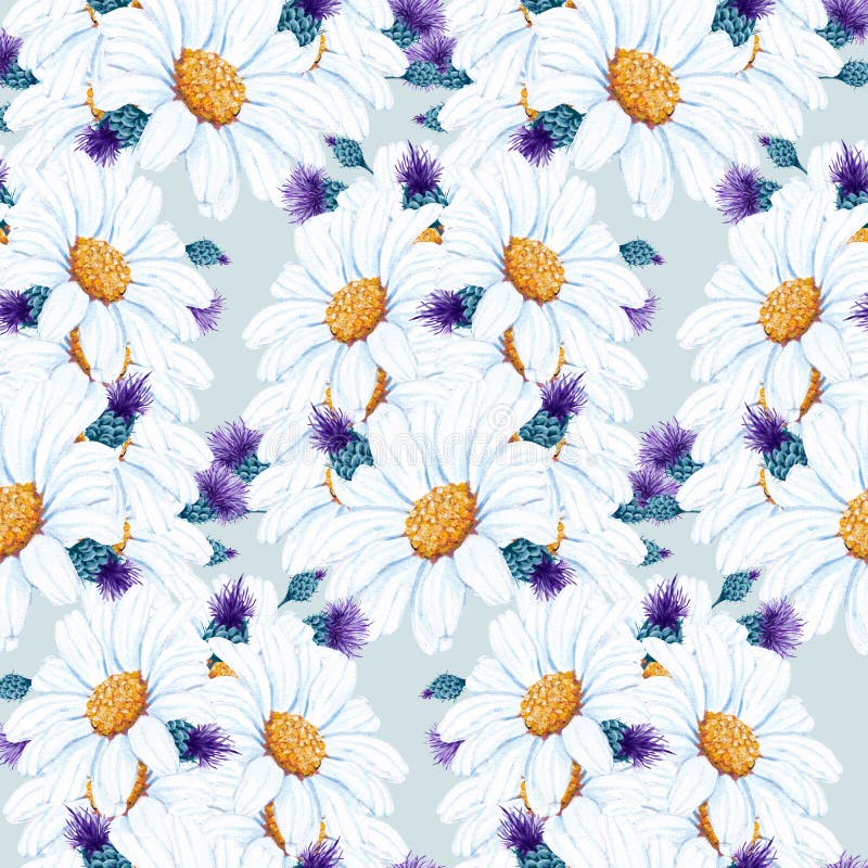 Elegant Daisy in a Seamless Pattern Design Stock Illustration ...