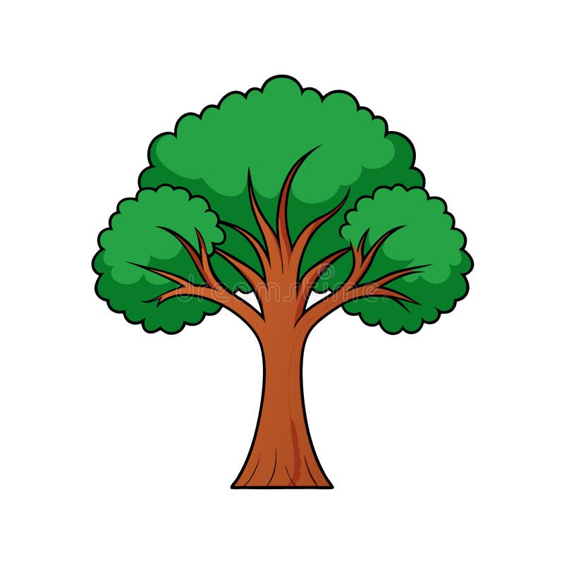 Elegant Kauri Tree Illustration Design Stock Illustration ...