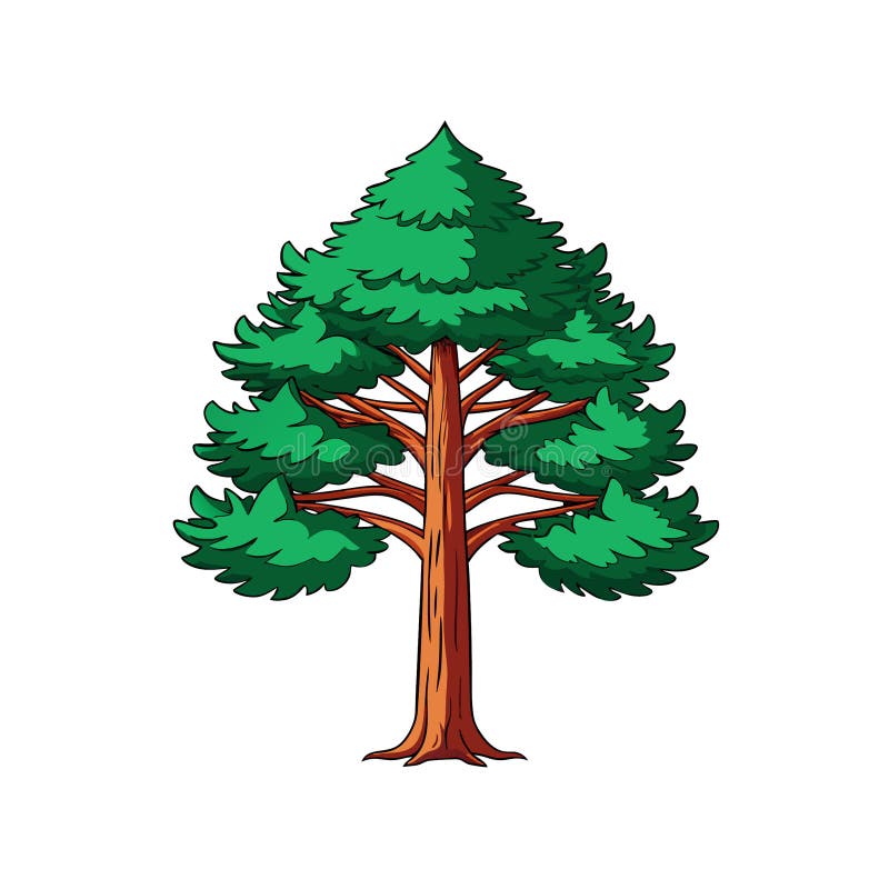 Elegant Pitch Pine Tree Design Stock Photo - Illustration of nature ...