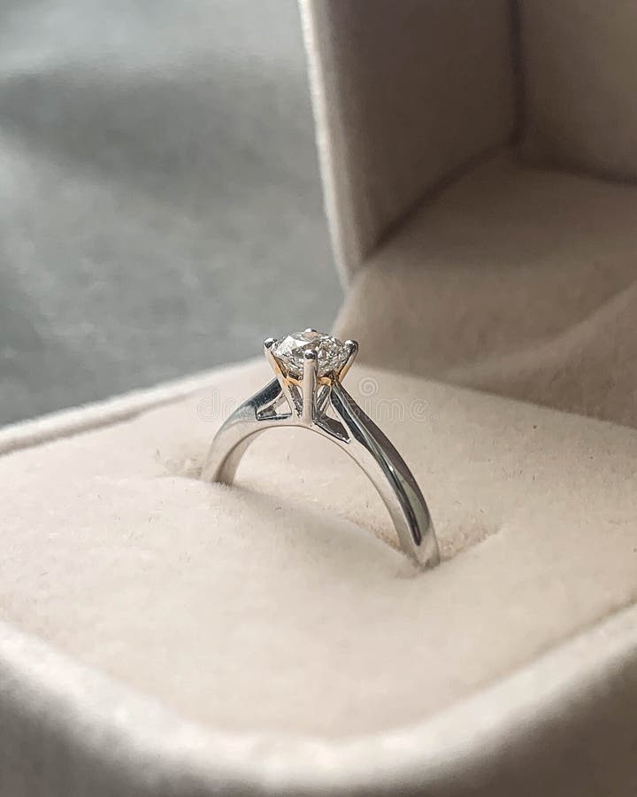 Elegant Diamond Engagement Ring in Silver Setting Displayed in Plush ...
